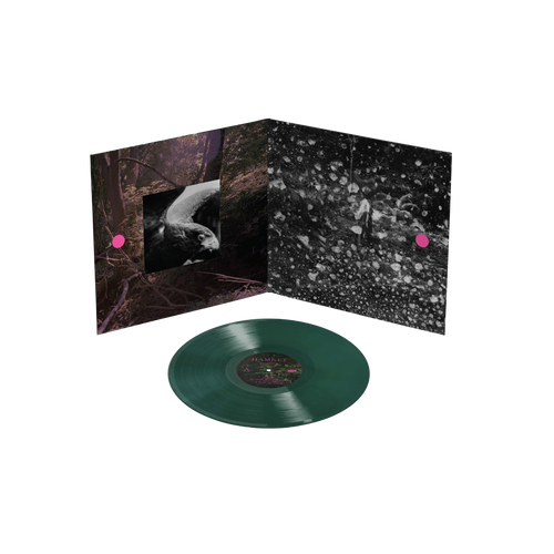 Max Richter - Hamnet (Original Motion Picture Soundtrack) - Forest ...